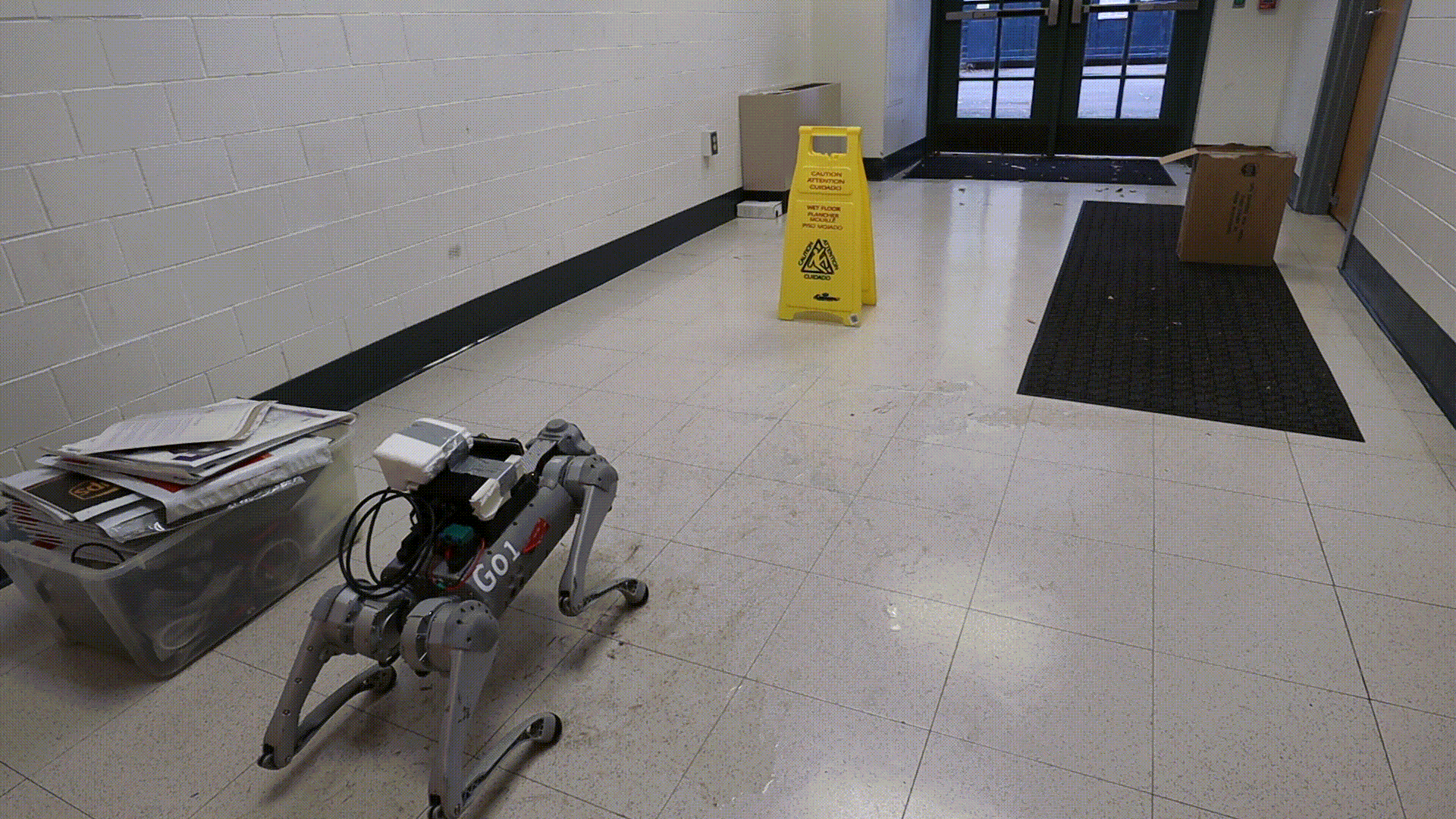 Bridging Adaptivity And Safety Agile Legged Locomotion Across Varied Physics